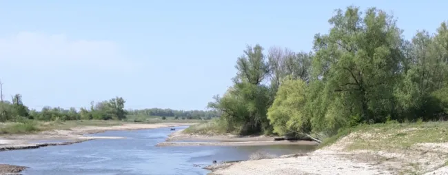 Zijstroom van rivier opgroeigebied voor vis | ATKB